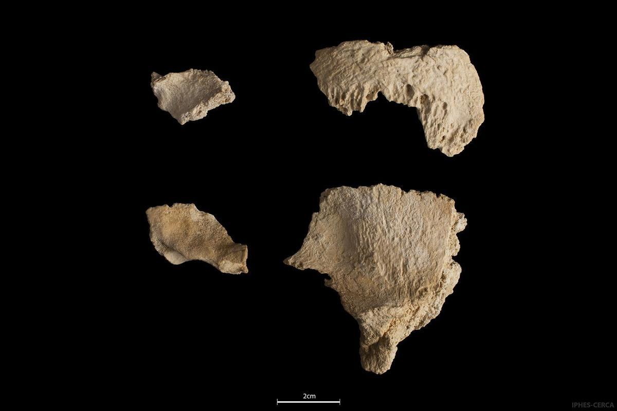 Arqueología | Hallados cuatro huesos del cráneo de un neandertal en ... Arqueología | Hallados cuatro huesos del cráneo de un neandertal en ...