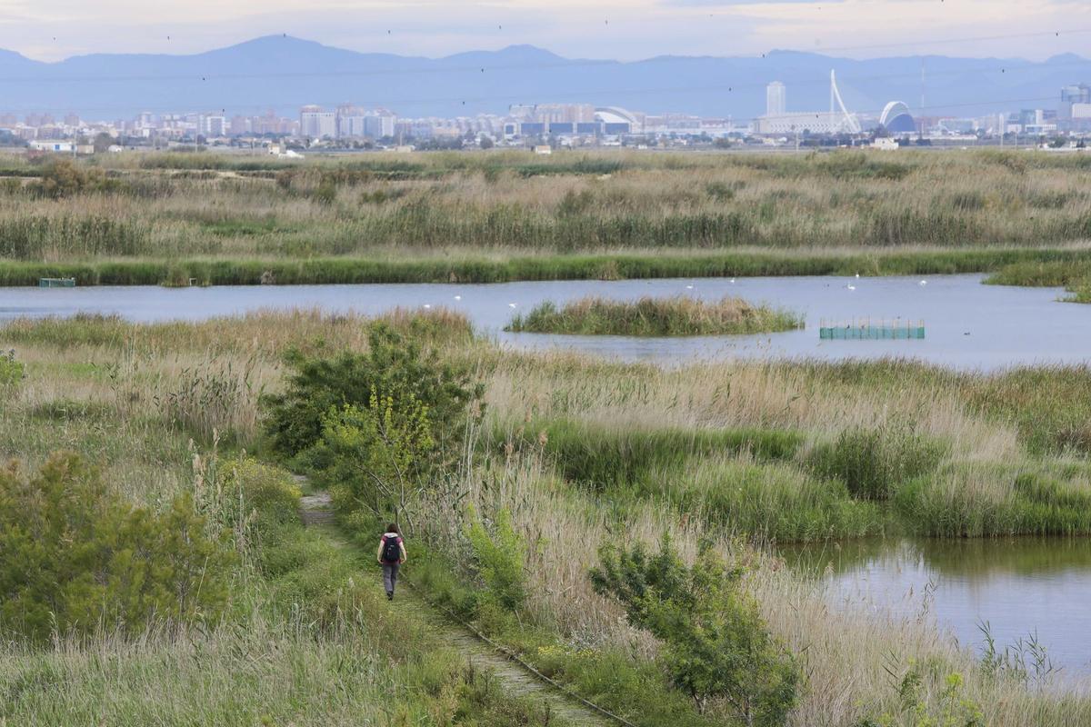 Increíble El Tancat De La Albuferade la década ¡Desbloquea más ...